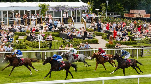 Preview: Discover Newmarket Rolls Out Red Carpet With New Vip Raceday ...
