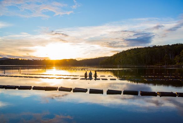 Preview: Reconnect in NSW