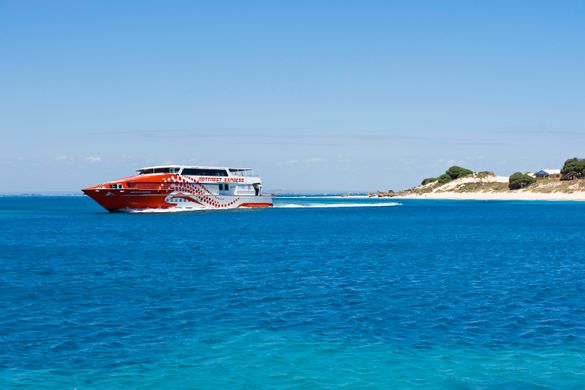 Preview: Wild Rotto Winter Packages with Rottnest Express