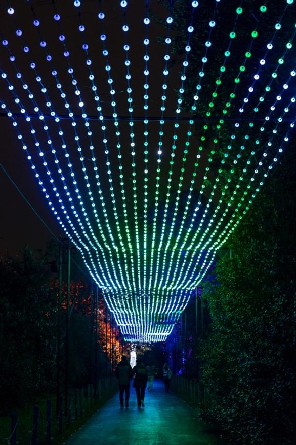 Preview: Northern Lights to be Recreated for Magical Christmas at ...