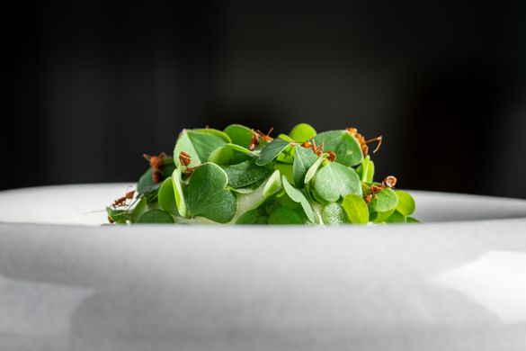 Preview: Latest addition to Southeast Asia's fine dining scene, hom ...