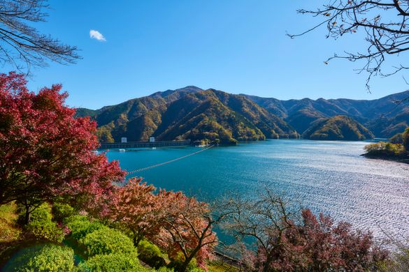 Preview: Unexpected Tokyo – Head to the Tama Region for your natural high