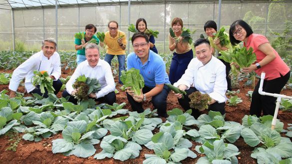 Preview: InterContinental Hong Kong Celebrates Platinum EarthCheck ...