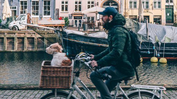 Preview: On International Bike Day, 10 Things You Didn't Know About ...