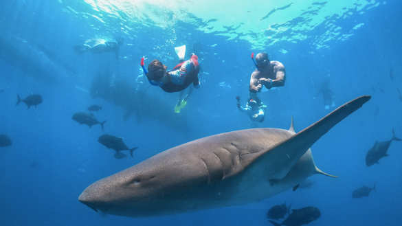 Preview: Sun, Sea & Santa. Last Minute Festive Getaways to the Maldives